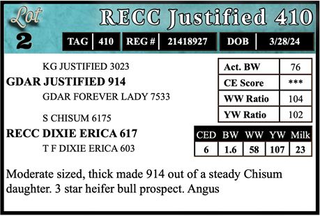 KtK Livestock Services, LLC- Auctions - RECC Justified 410